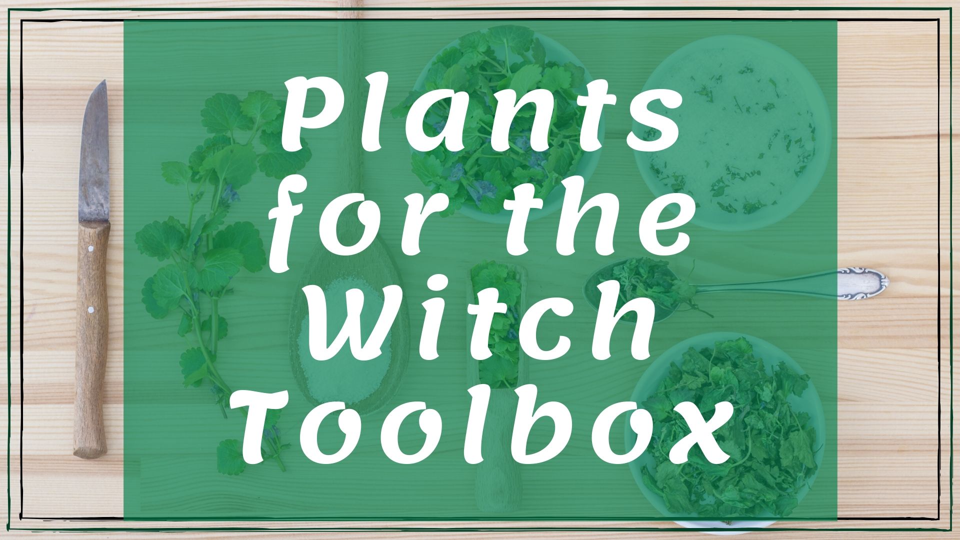 The 14 Best Healing Plants For Witches And Witchcraft